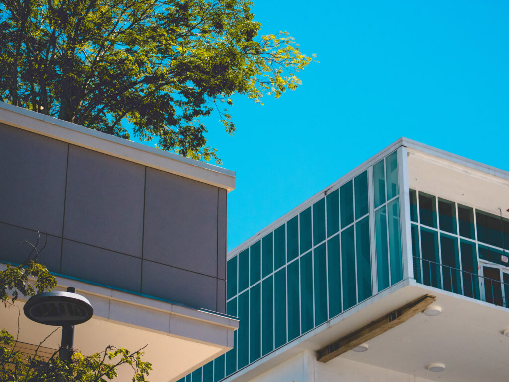 Portfolio - Thrive Five